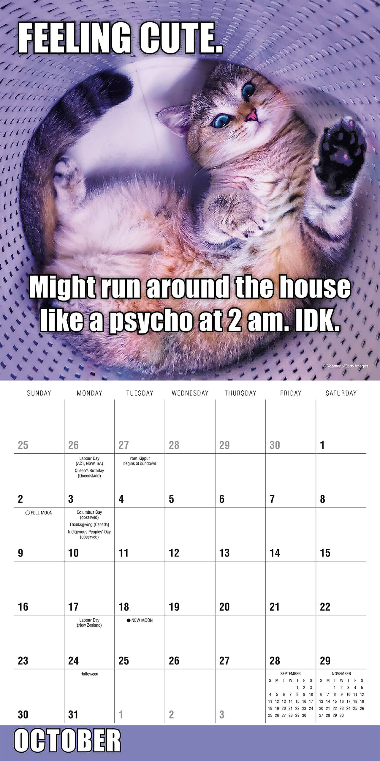 Meow Memes - 2022 Wall Calendar, Cat Wall Calendar by Sellers ...