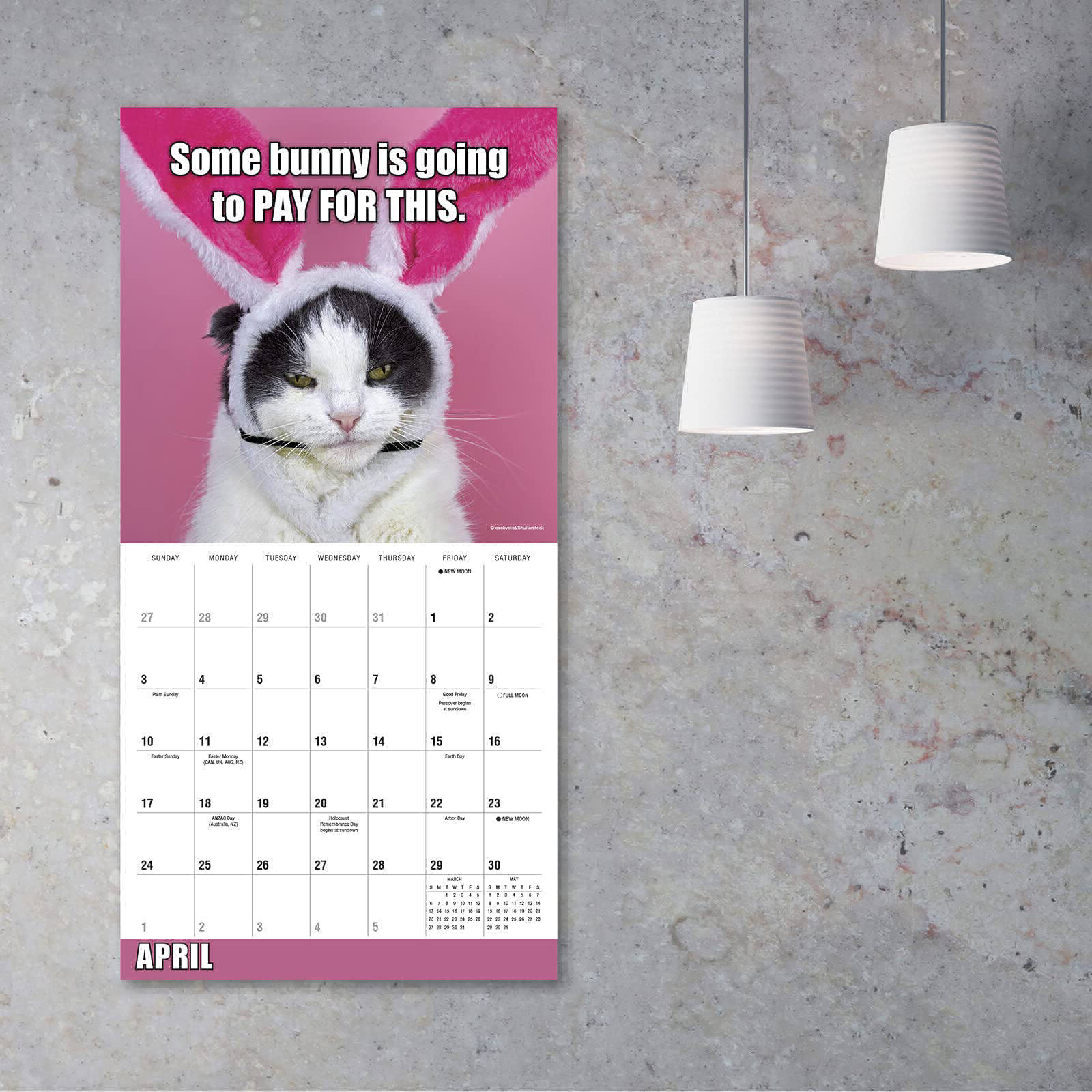 Meow Memes - 2022 Wall Calendar, Cat Wall Calendar by Sellers ...