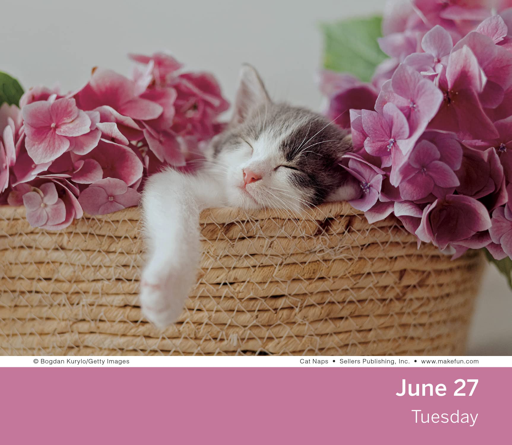 Cat Naps - 2023 Daily Desk Calendar by Sellers Publishing ...