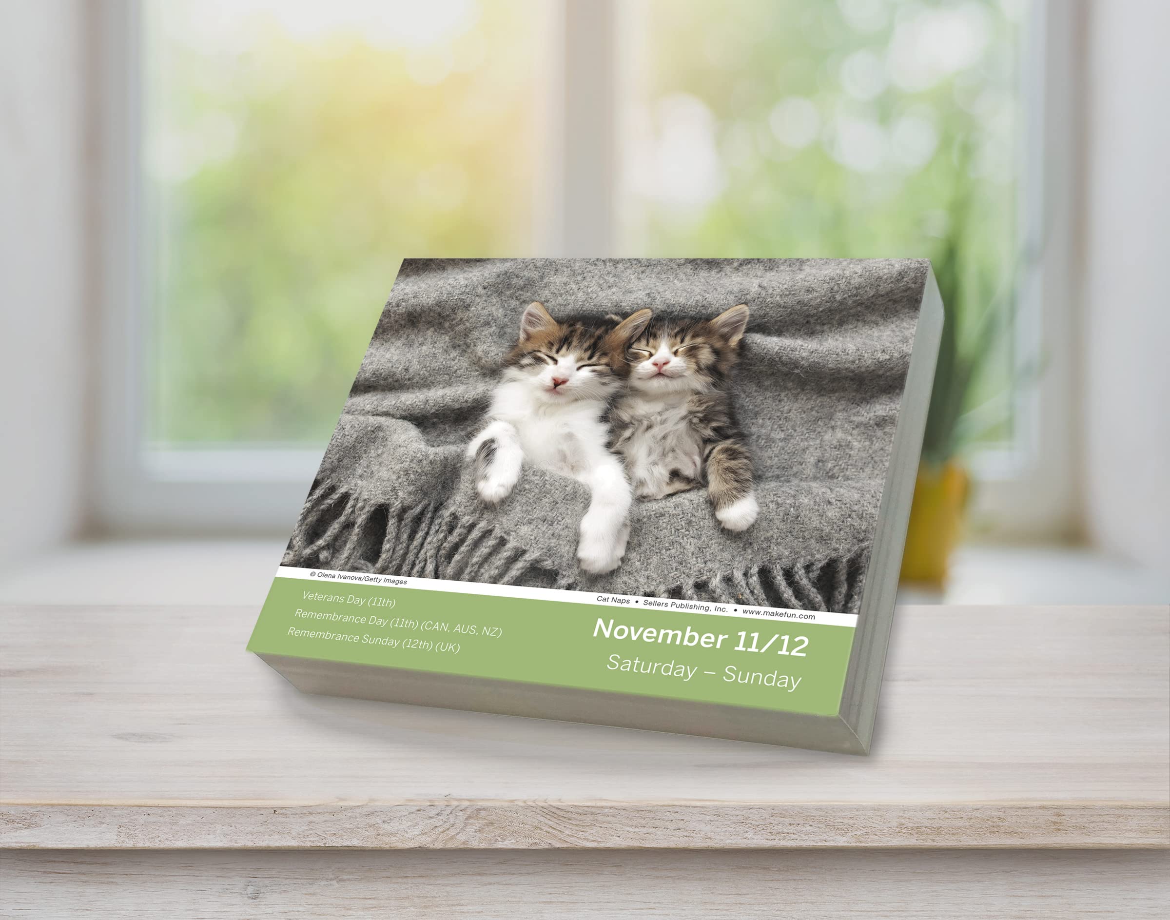 Cat Naps - 2023 Daily Desk Calendar by Sellers Publishing ...