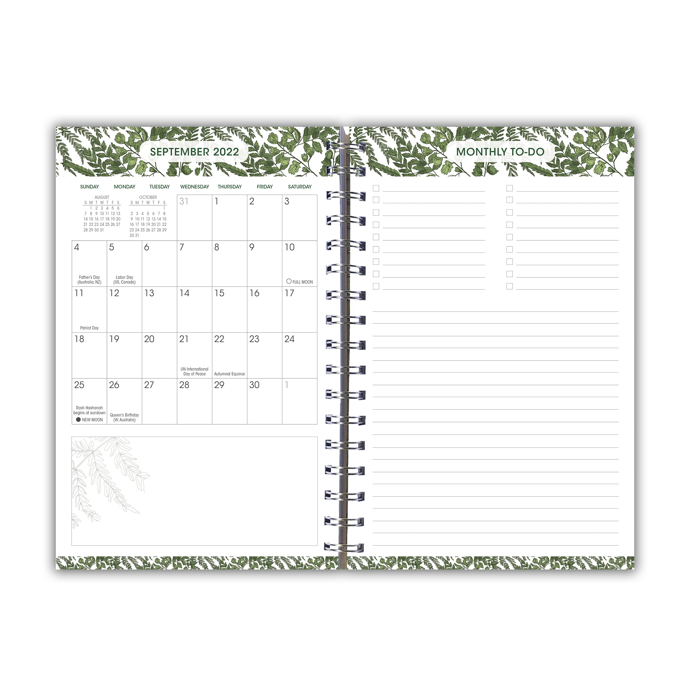 Fancy Ferns - 2023 Weekly Designer Engagement Calendar, August 2022 ...