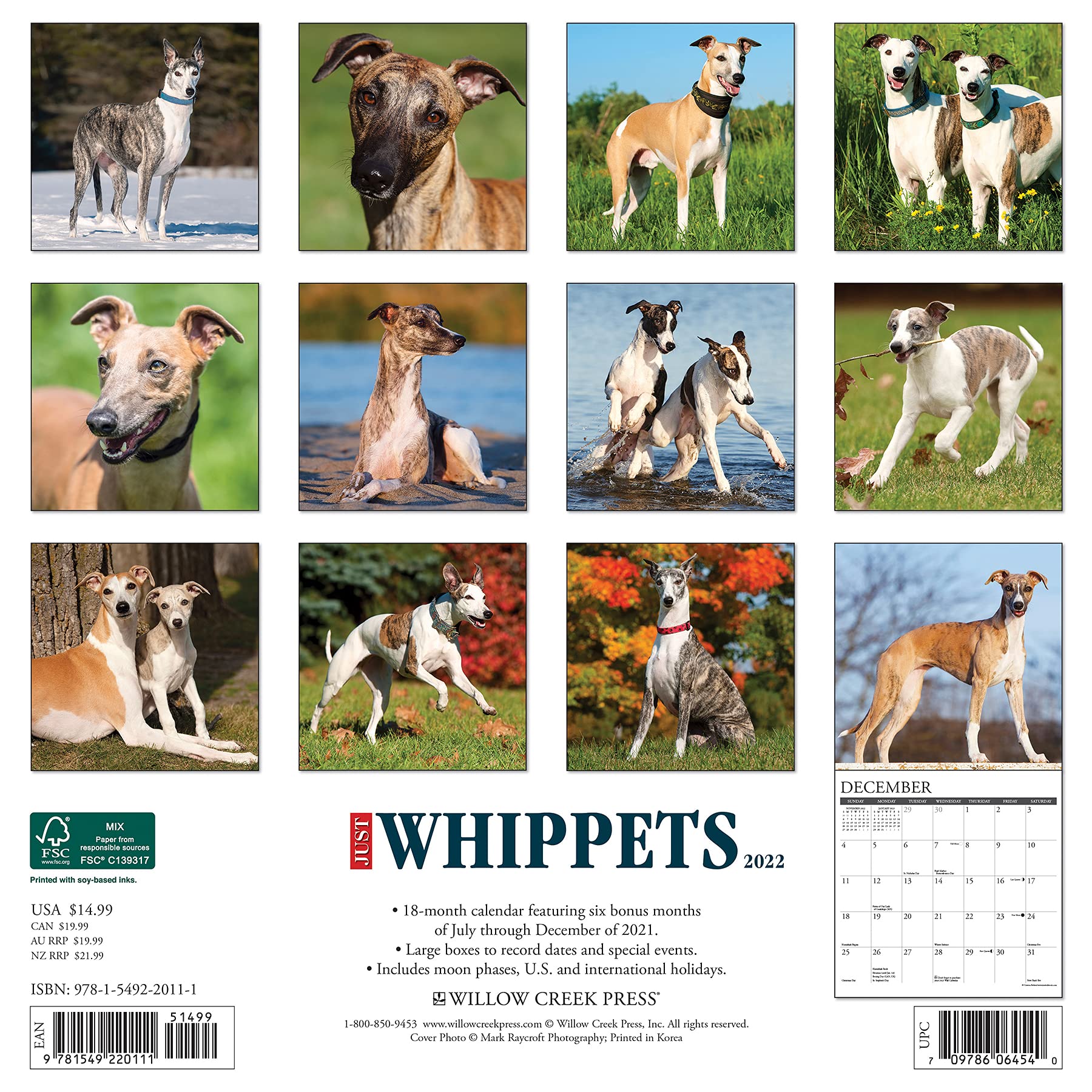 Just Whippets - 2022 Wall Calendar by Willow Creek Press ...