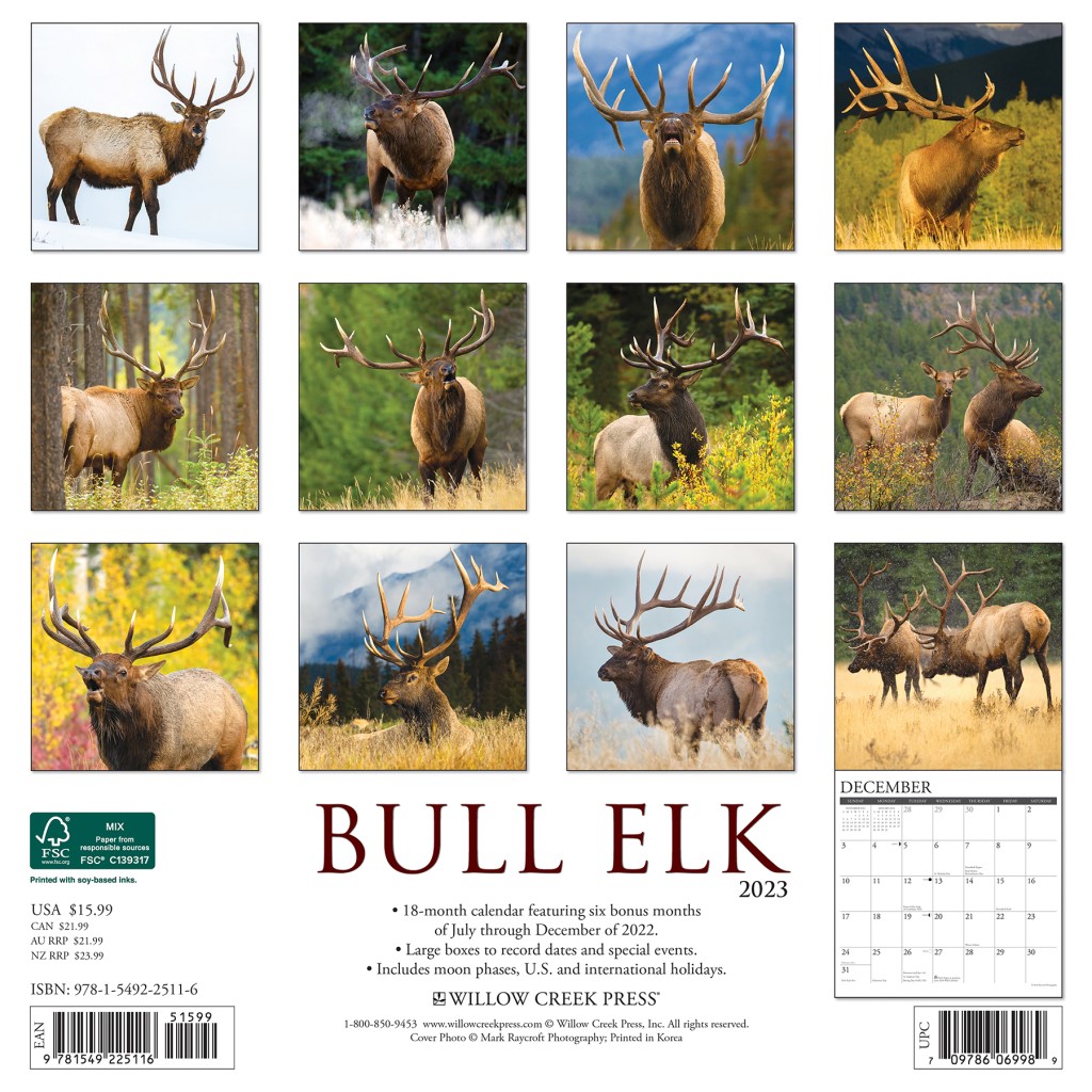 Bull Elk - 2023 Wall Calendar by Willow Creek Press | 9781549225116 ...