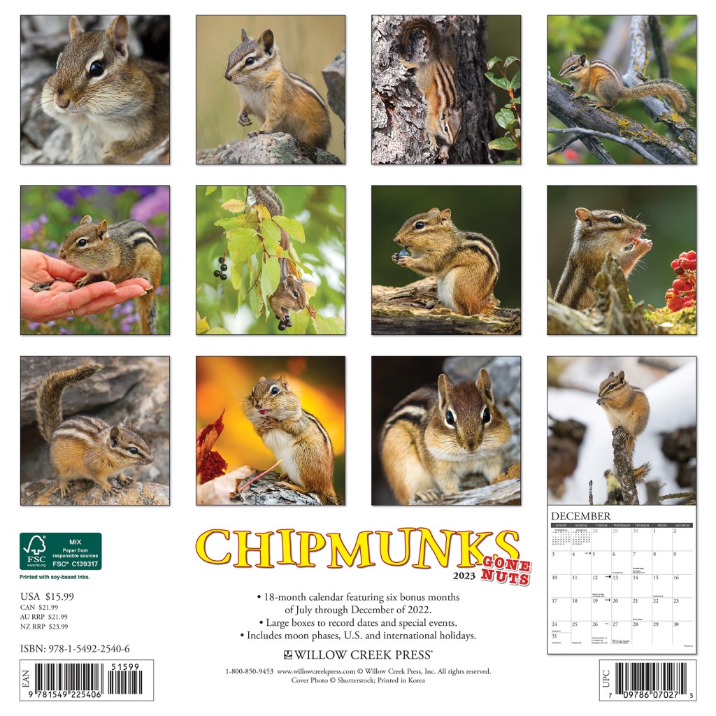 Chipmunks (Gone Nuts!) - 2023 Wall Calendar by Willow Creek Press ...