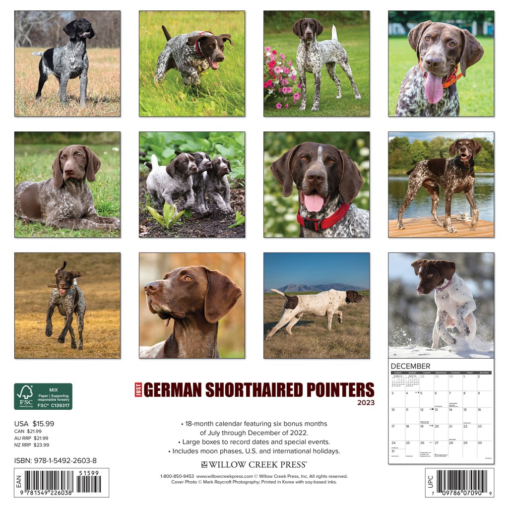 Just German Shorthaired Pointers 2023 Wall Calendar by Willow Creek ...