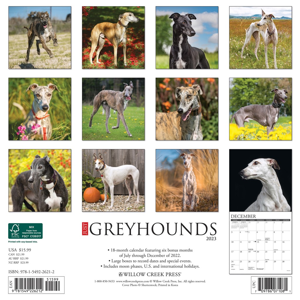 Just Greyhounds 2023 Wall Calendar by Willow Creek Press ...
