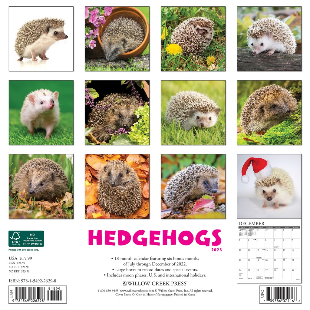Hedgehogs - 2023 Wall Calendar by Willow Creek Press | 9781549226298 ...