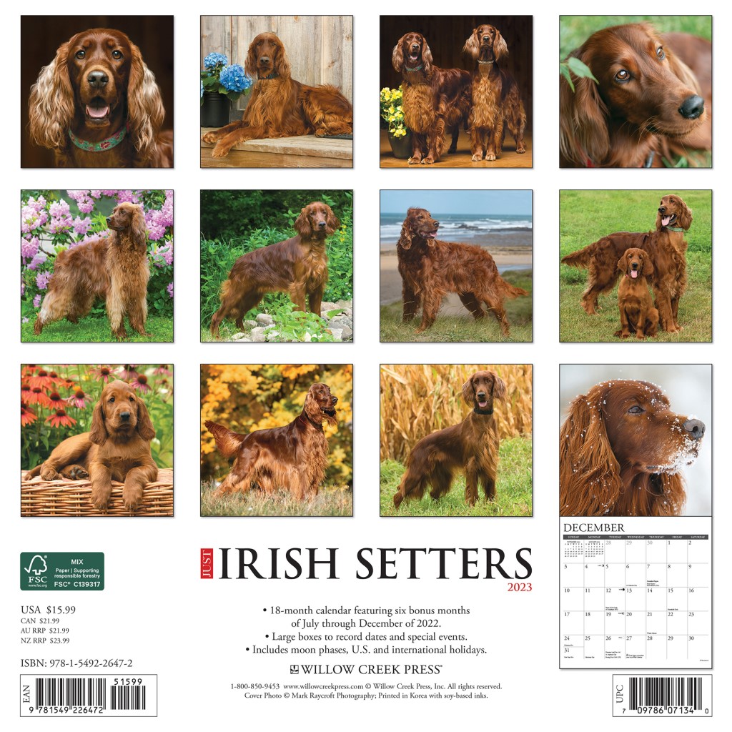Just Irish Setters 2023 Wall Calendar by Willow Creek Press ...