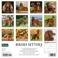 Just Irish Setters 2023 Wall Calendar by Willow Creek Press ...