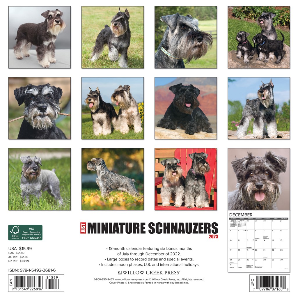Just Miniature Schnauzers 2023 Wall Calendar by Willow Creek Press ...