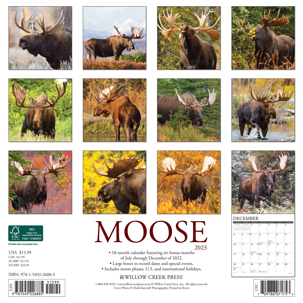 Moose - 2023 Wall Calendar by Willow Creek Press | 9781549226885 ...