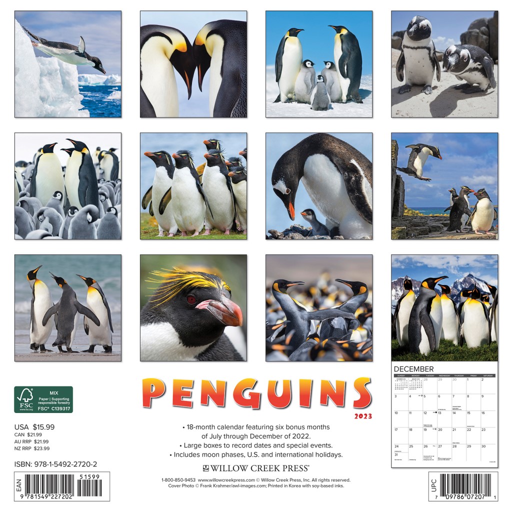 Penguins - 2023 Wall Calendar by Willow Creek Press | 9781549227202 ...