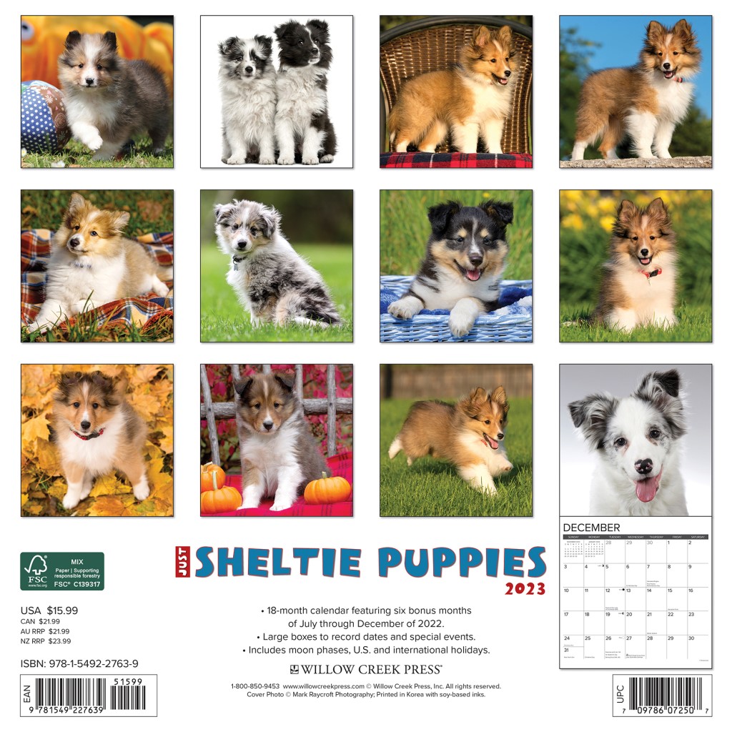 Just Sheltie Puppies 2023 Wall Calendar by Willow Creek Press ...
