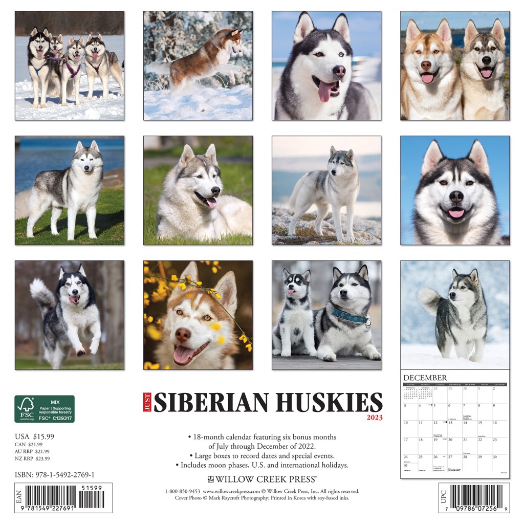 Just Siberian Huskies - 2023 Wall Calendar by Willow Creek Press ...