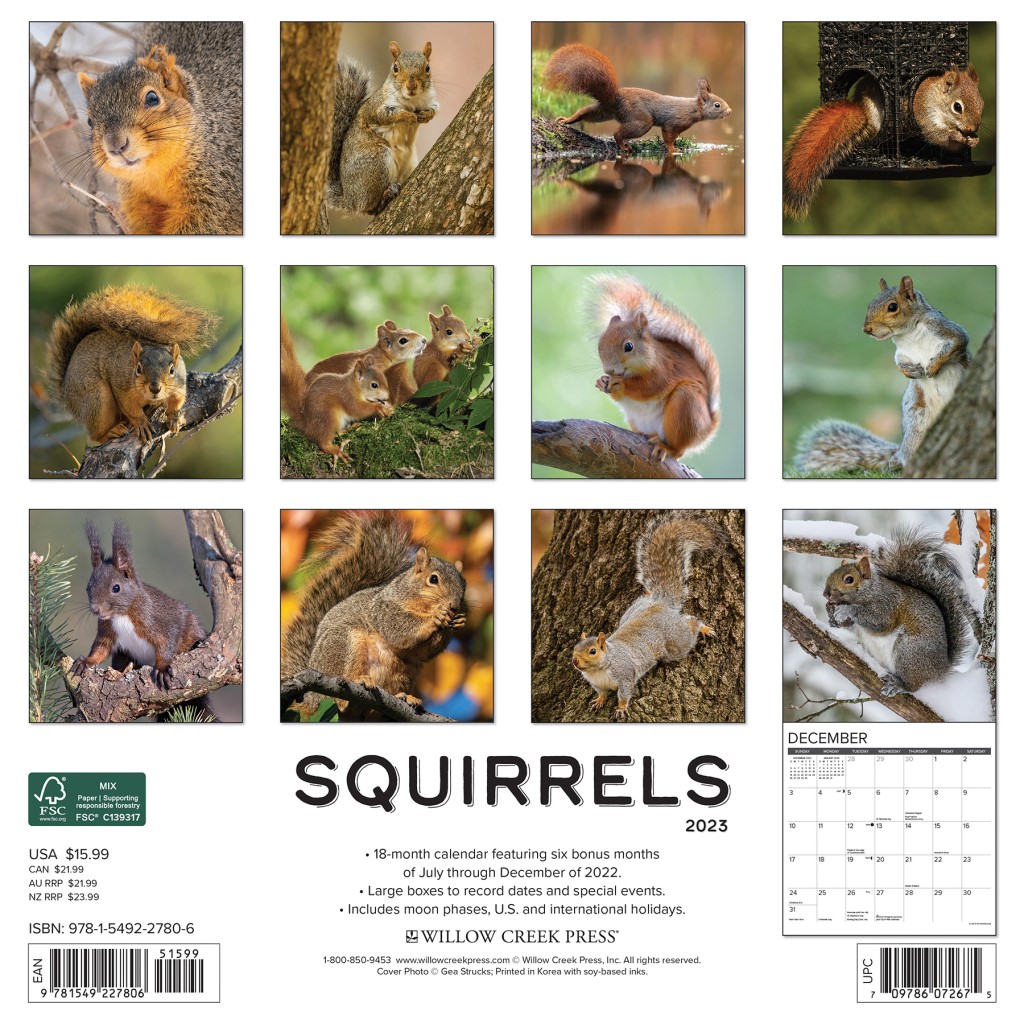 Squirrels - 2023 Wall Calendar by Willow Creek Press | 9781549227806 ...