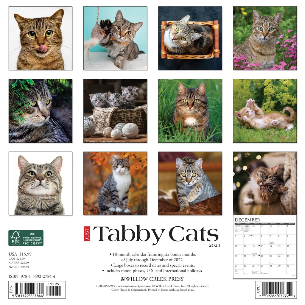 Just Tabby Cats - 2023 Wall Calendar by Willow Creek Press ...