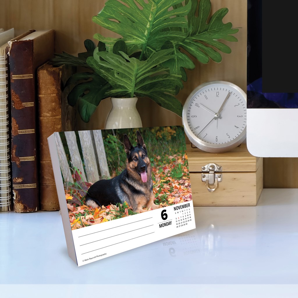 German Shepherds - 2023 Daily Desk Calendar by Willow Creek Press ...