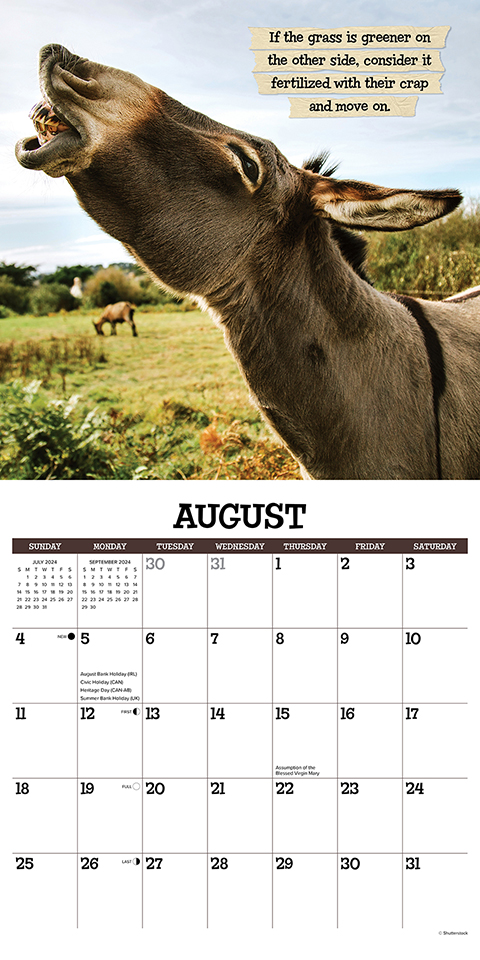 Sassy Jackassy - 2024 Wall Calendar by Willow Creek Press ...