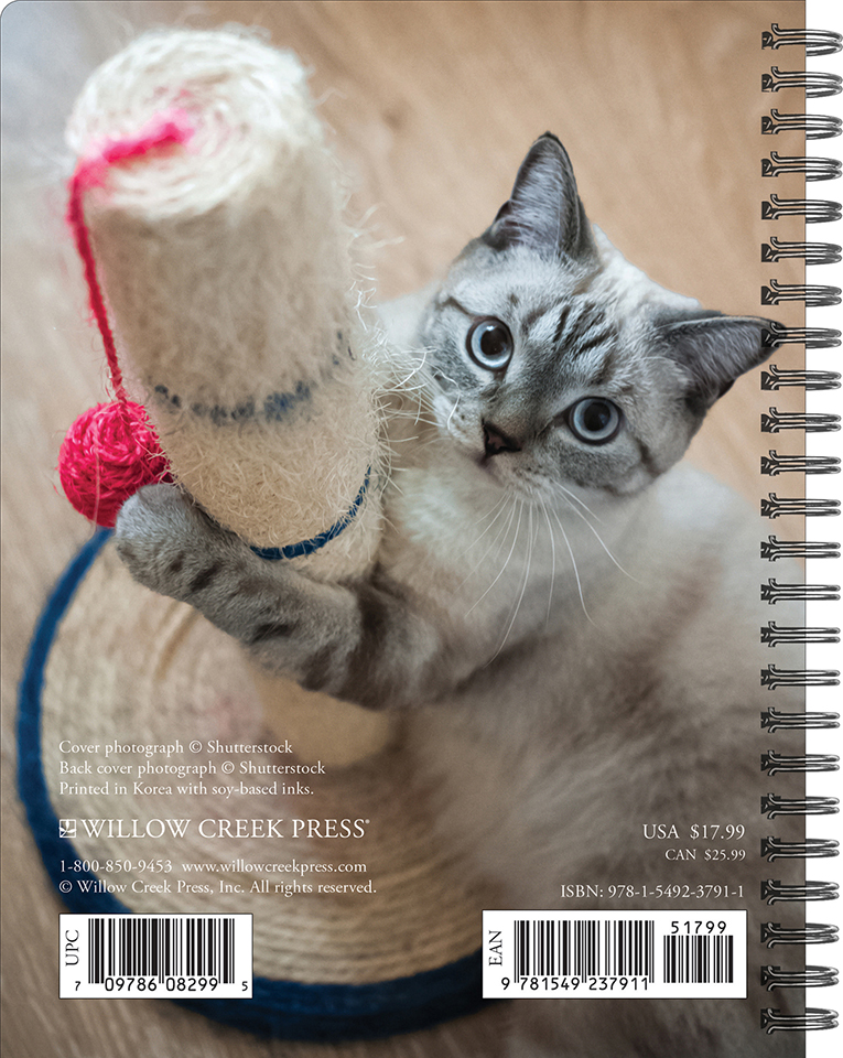 What Cats Teach Us - 2024 Engagement Calendar by Willow Creek Press ...
