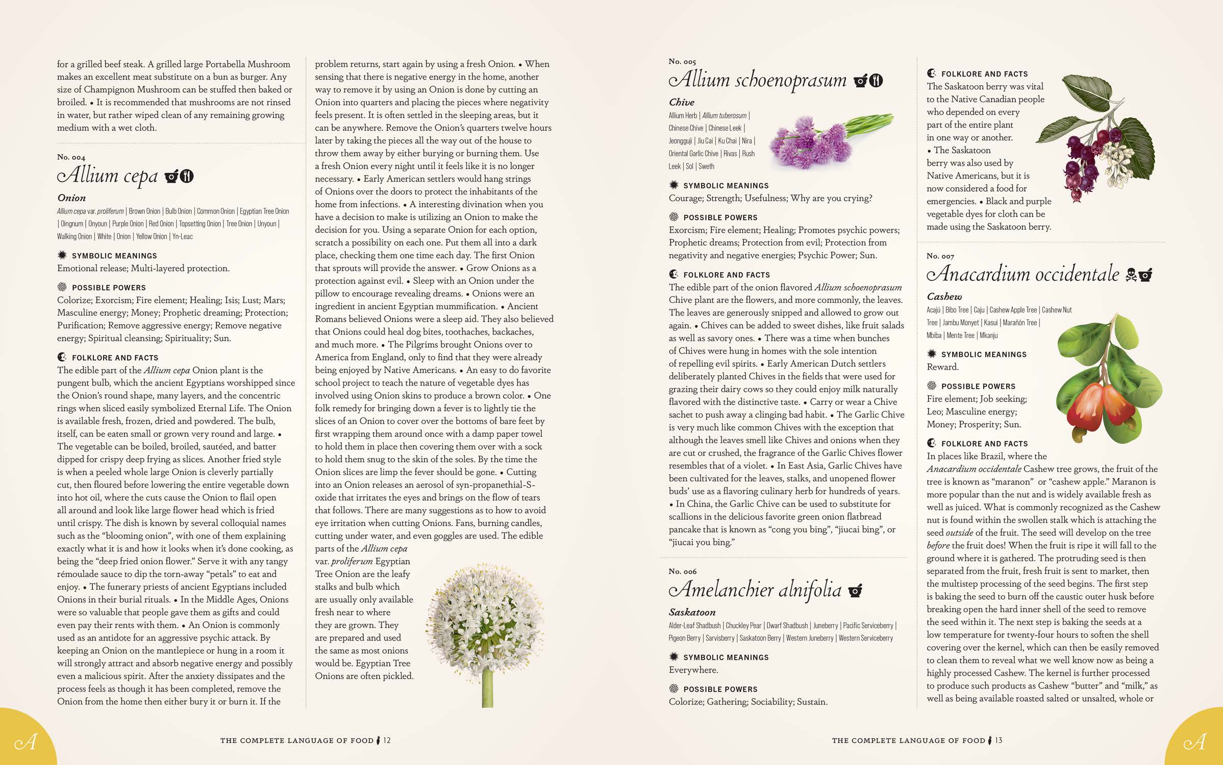 The Complete Language of Food, A Definitive & Illustrated History by S ...