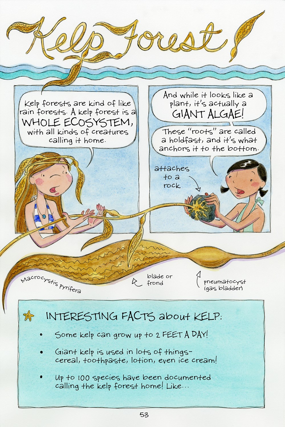 The Science of Surfing, A Surfside Girls Guide to the Ocean by Kim ...