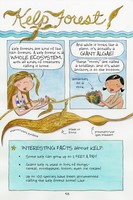 The Science of Surfing, A Surfside Girls Guide to the Ocean by Kim ...