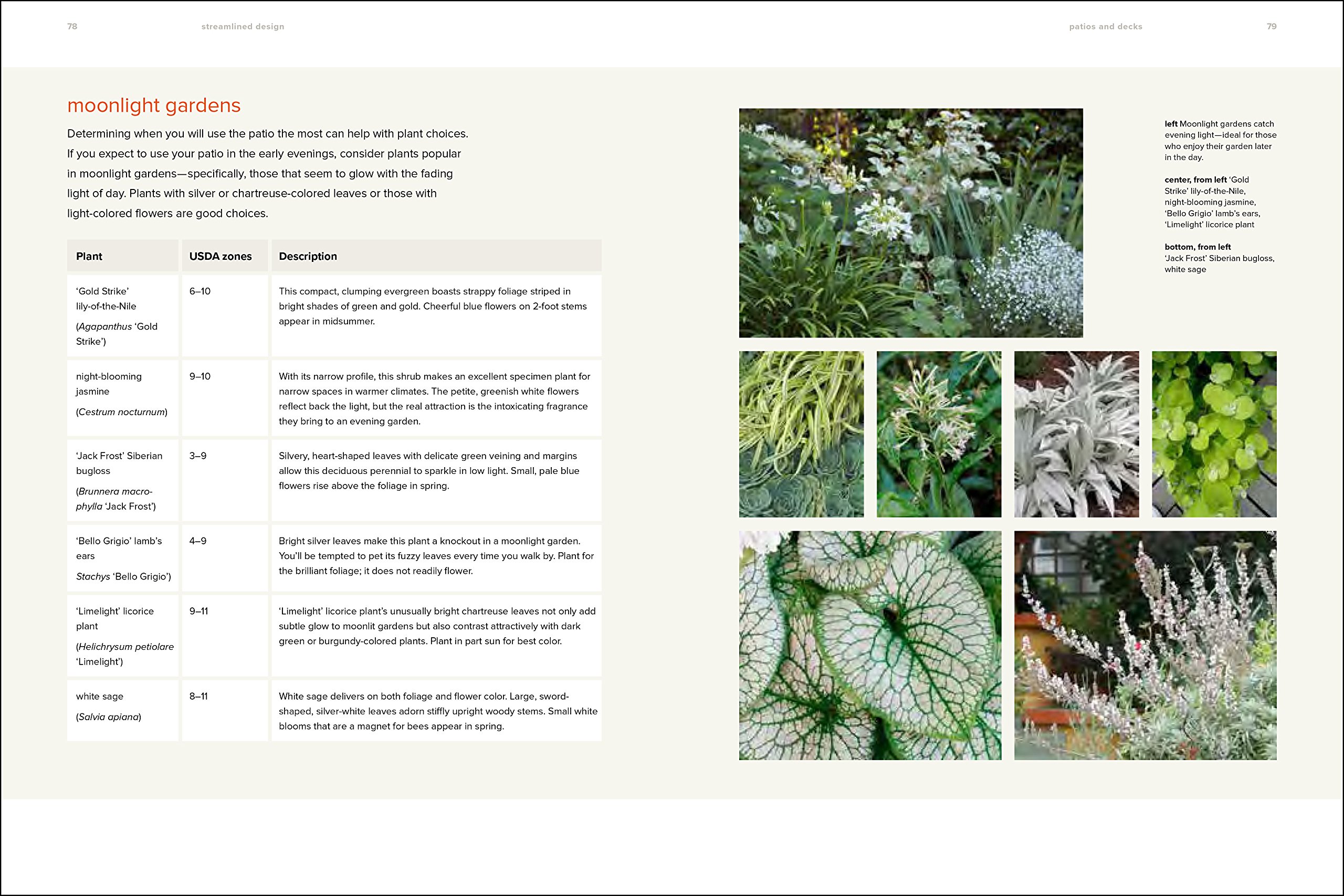 The Less Is More Garden, Big Ideas For Designing Your Small Yard by ...