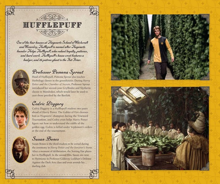 Harry Potter : Hufflepuff Hardcover Ruled Journal, Harry Potter by ...