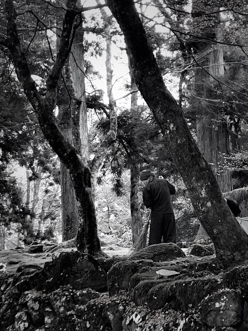 Off the Beaten Tracks in Japan by John Dougill | A Journey by Train ...