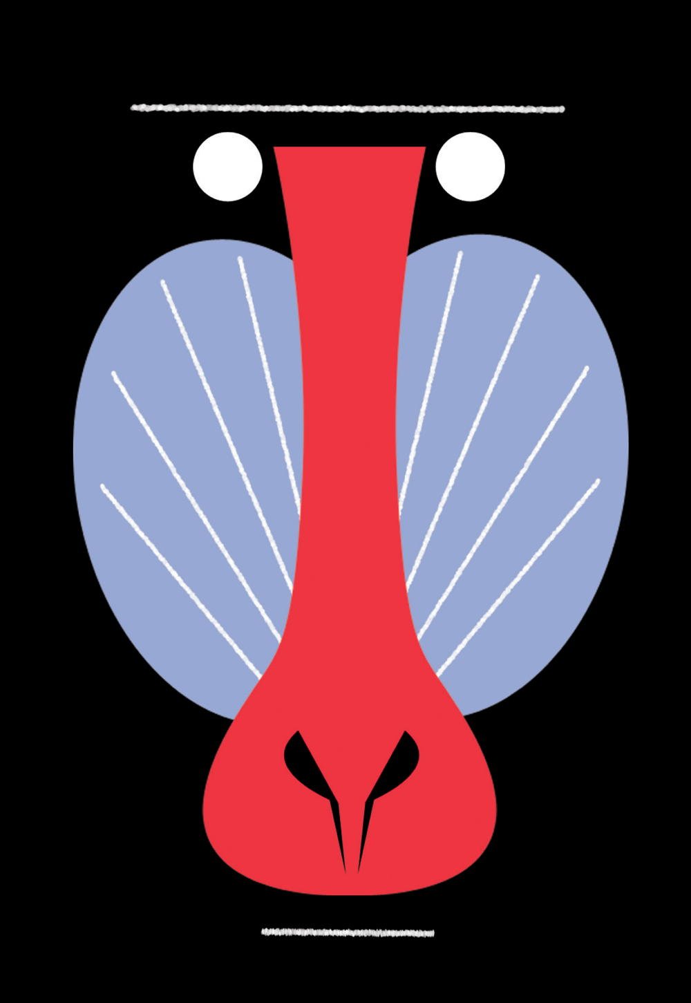 Animal Box Postcards, 100 Postcards by 10 Artists by Princeton ...