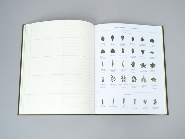 Observer's Notebook - Trees, Trees by Princeton Architectural Press ...