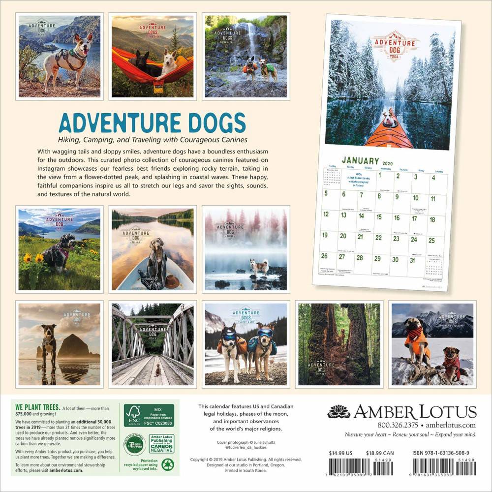 2020 Adventure Dogs Wall Calendar, Hiking, Camping, and Traveling with ...