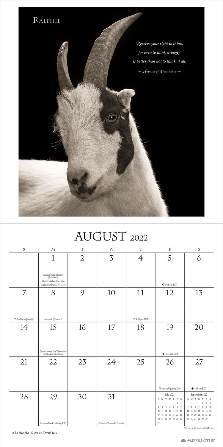 I Am Goat - 2022 Wall Calendar, Animal Portrait Photography and Wisdom ...