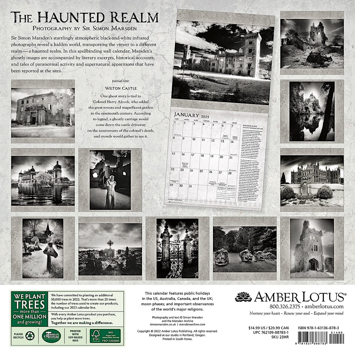 The Haunted Realm - 2023 Wall Calendar by Amber Lotus | 9781631368783 ...