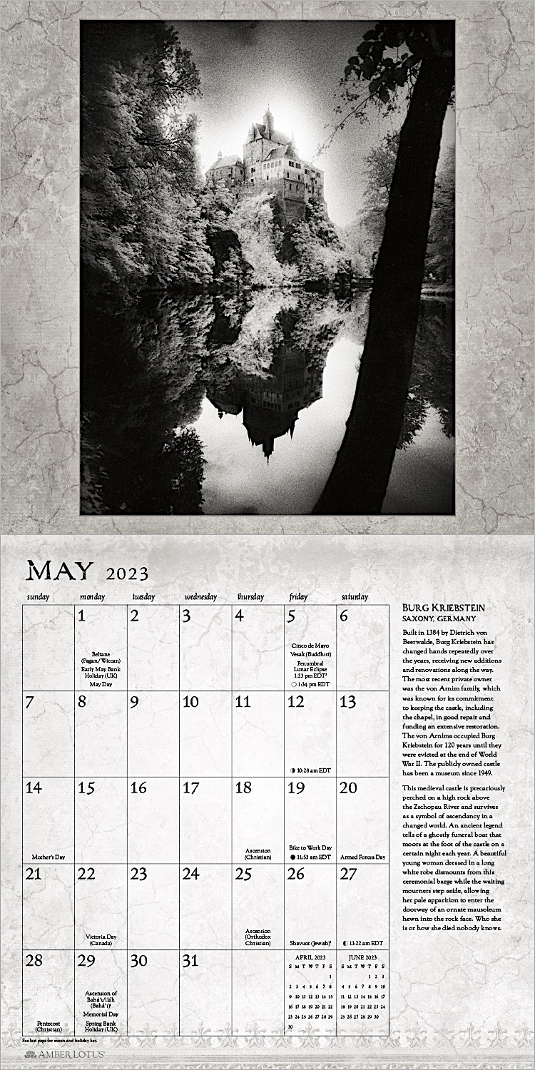 The Haunted Realm - 2023 Wall Calendar by Amber Lotus | 9781631368783 ...
