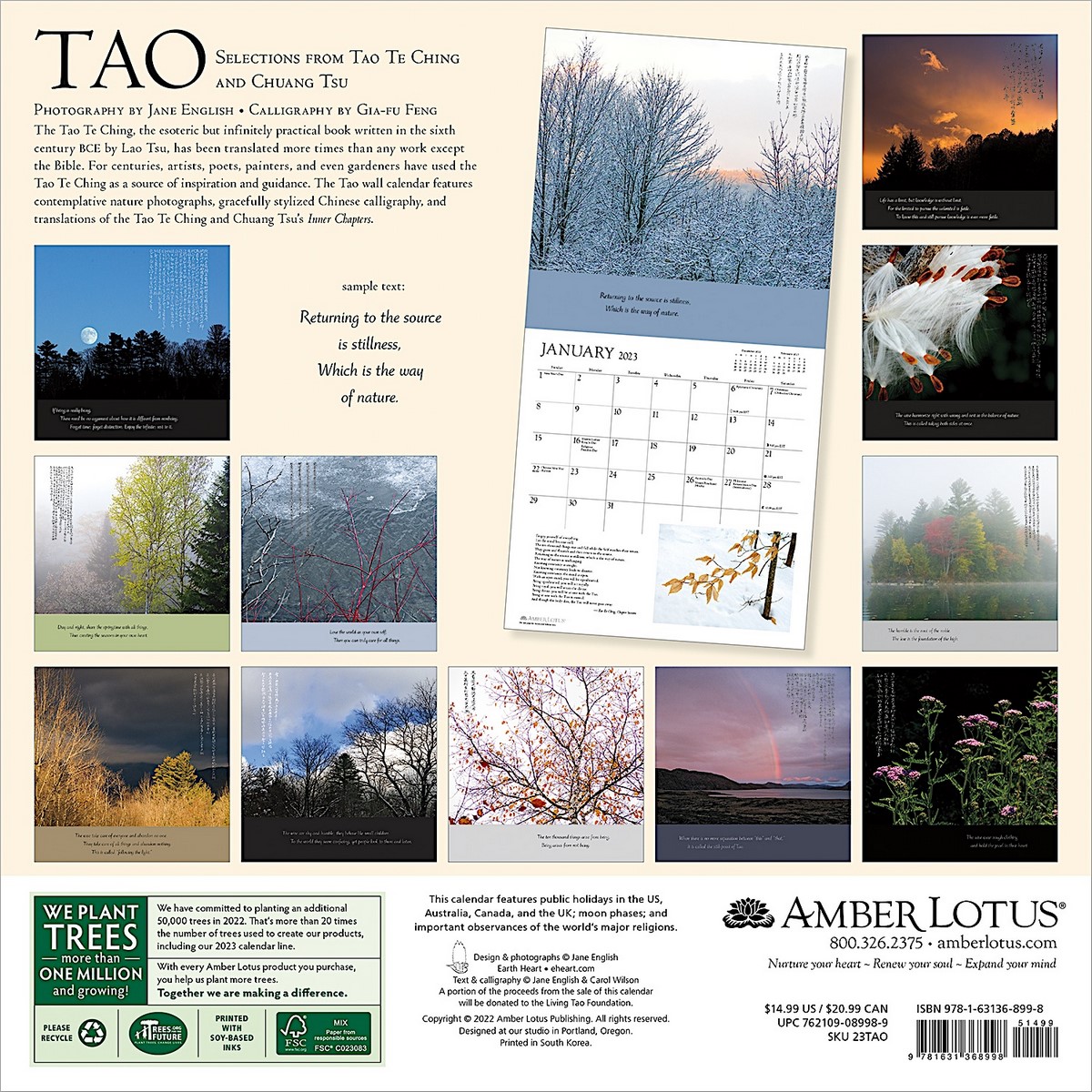 Tao - 2023 Wall Calendar by Amber Lotus | 9781631368998 | Booktopia