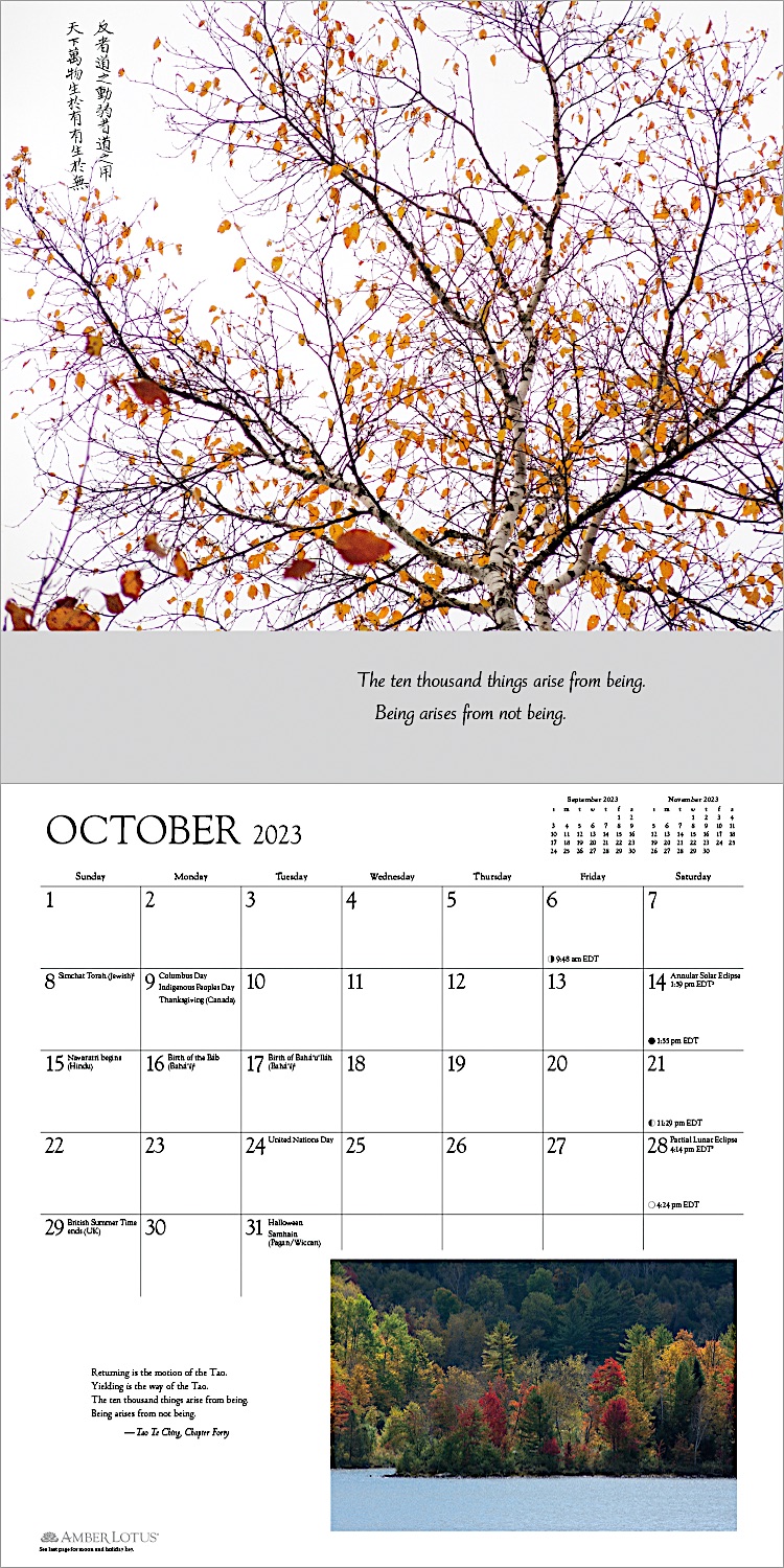 Tao - 2023 Wall Calendar by Amber Lotus | 9781631368998 | Booktopia