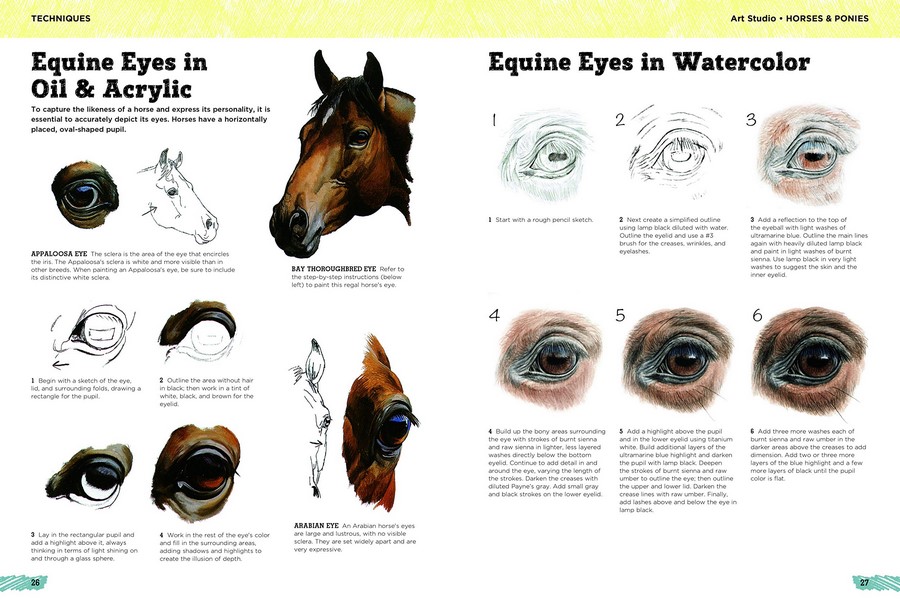 Art Studio : Horses & Ponies, More Than 50 Projects and Techniques for ...