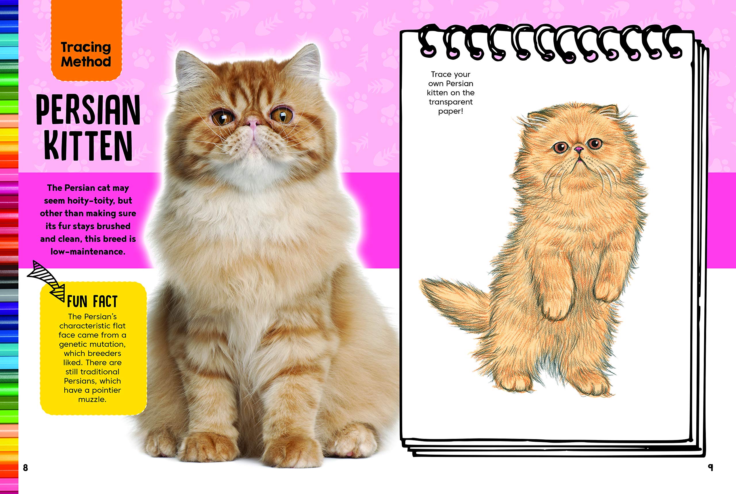 Cats & Kittens: Drawing & Activity Book, Learn to Draw 17 Different Cat ...