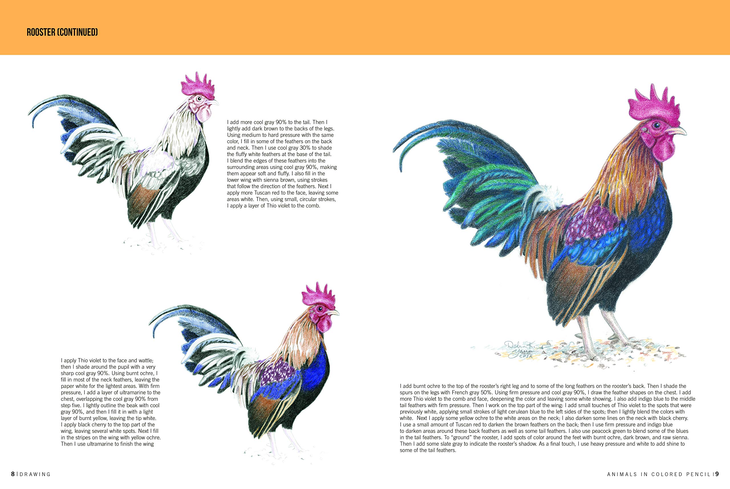 Drawing : Animals in Colored Pencil, Learn to Draw with Colored Pencil ...