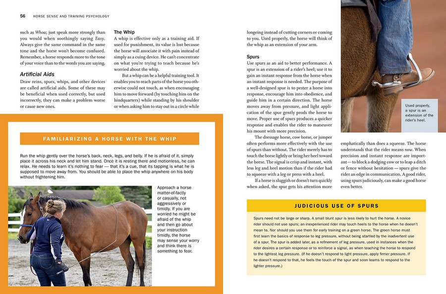 Storey's Guide to Training Horses : 3rd Edition, Ground Work, Driving ...