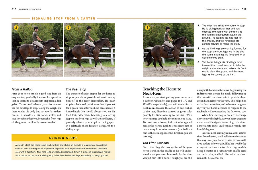 Storey's Guide to Training Horses : 3rd Edition, Ground Work, Driving ...