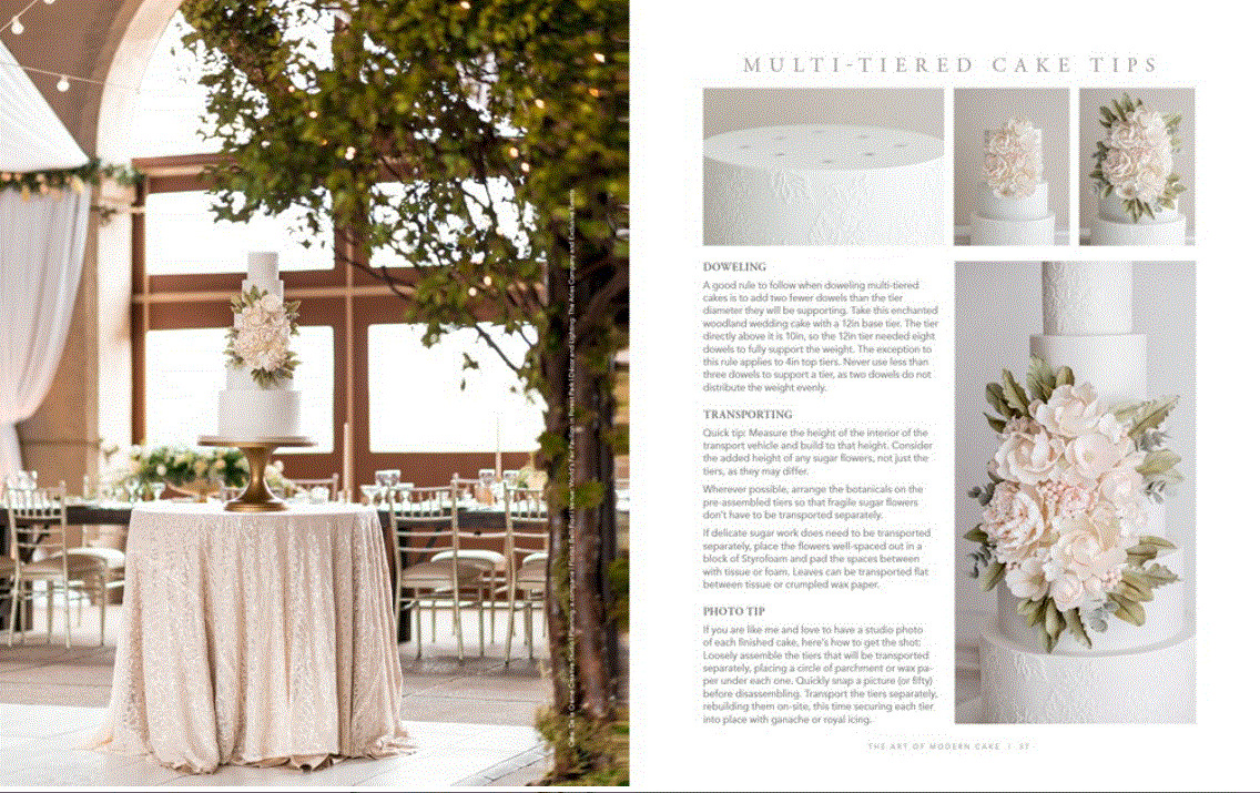 The Art of Modern Cakes, Cake Decorating Techniques for the ...