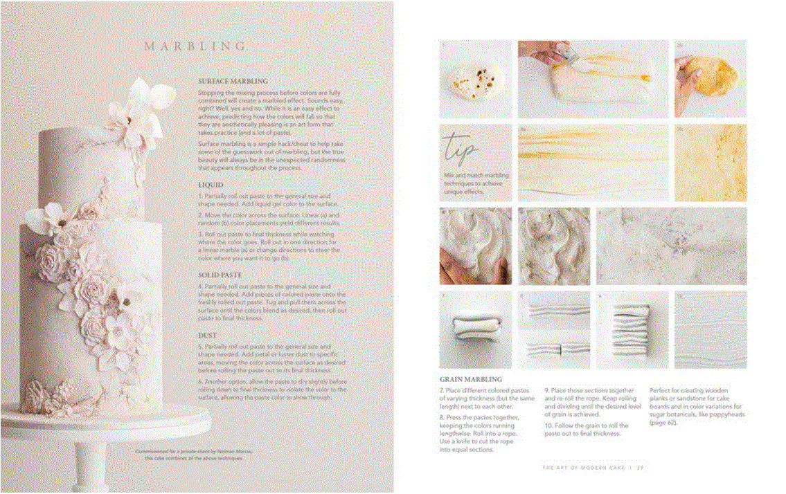 The Art of Modern Cakes, Cake Decorating Techniques for the ...