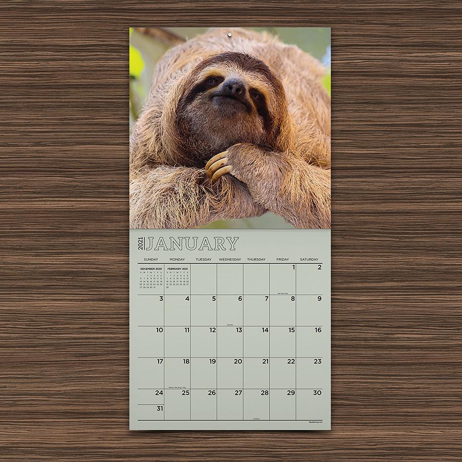 Sloths - 2021 Wall Calendar by TF Publishing | 9781643328461 | Booktopia