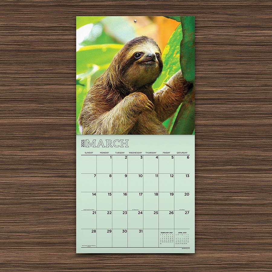 Sloths - 2021 Wall Calendar by TF Publishing | 9781643328461 | Booktopia