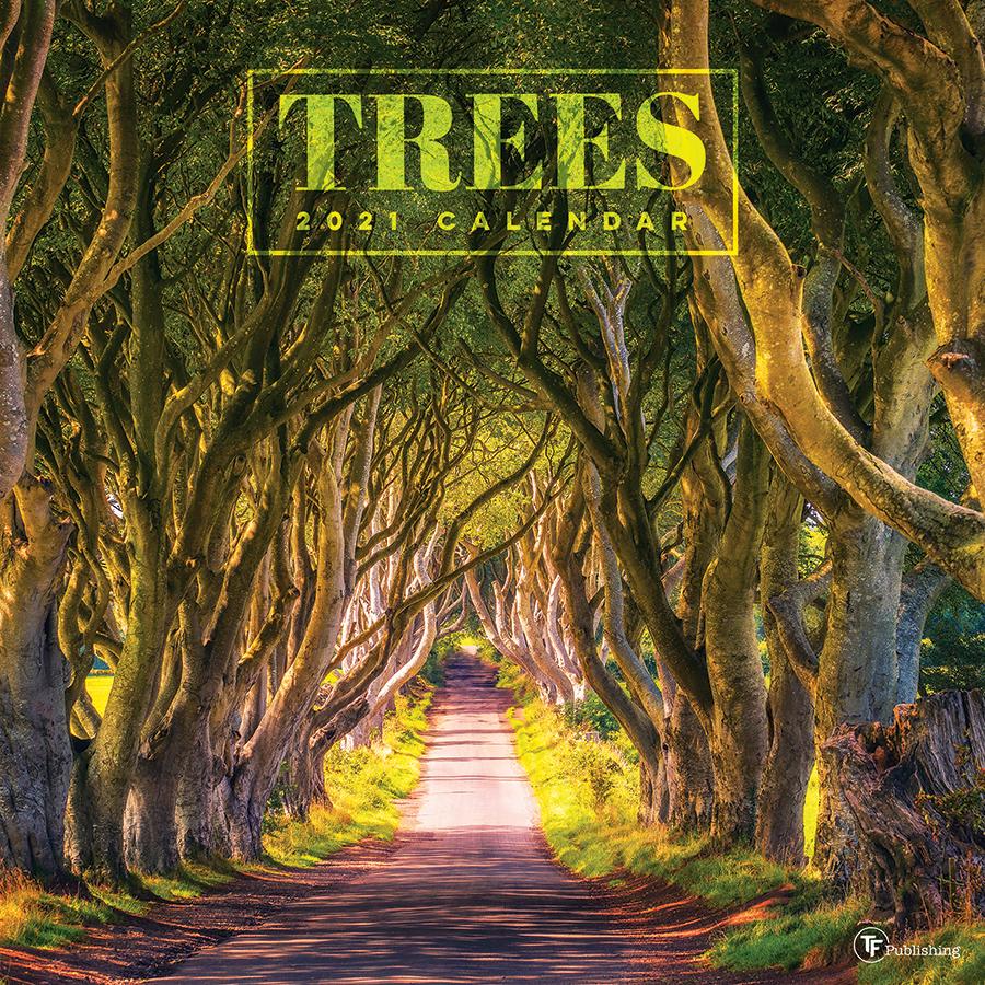 Trees - 2021 Wall Calendar by TF Publishing | 9781643328584 | Booktopia