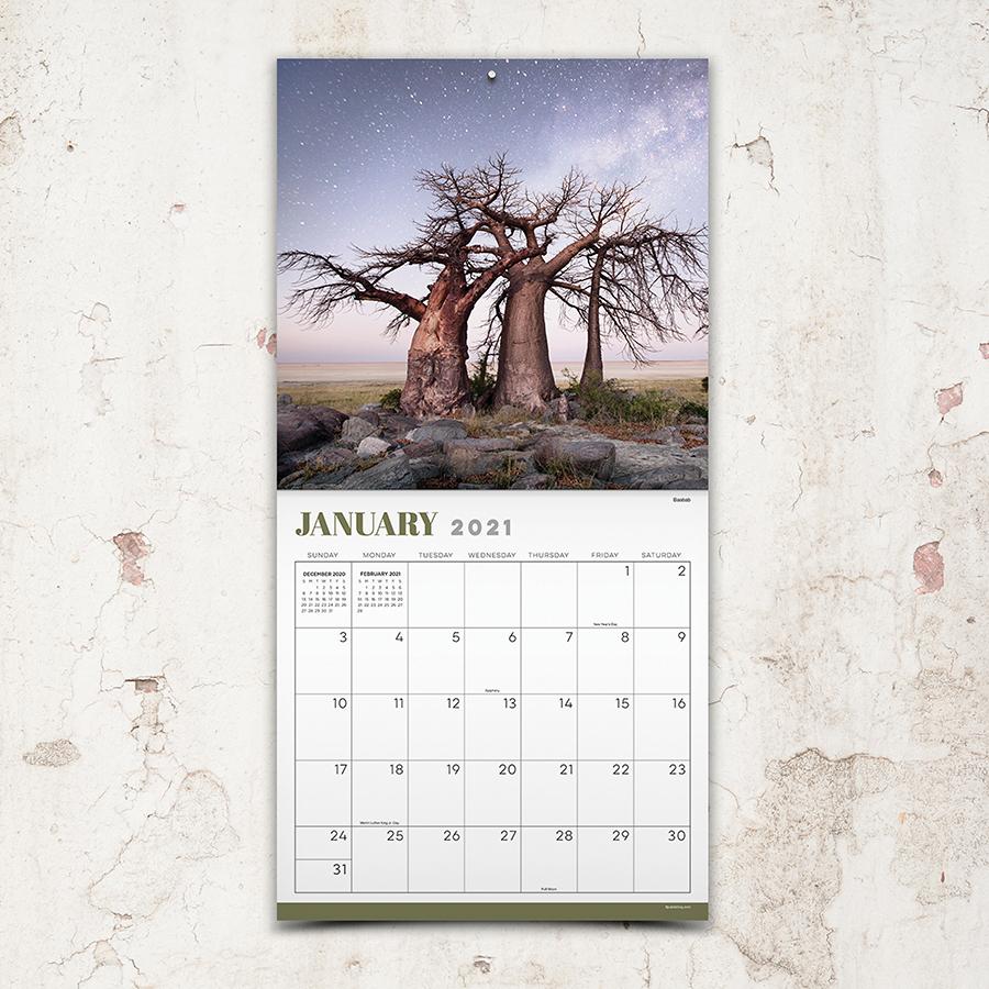 Trees - 2021 Wall Calendar by TF Publishing | 9781643328584 | Booktopia