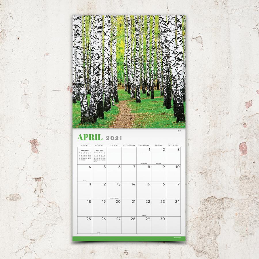 Trees - 2021 Wall Calendar by TF Publishing | 9781643328584 | Booktopia