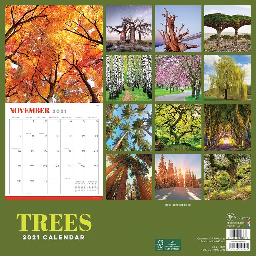 Trees - 2021 Wall Calendar by TF Publishing | 9781643328584 | Booktopia